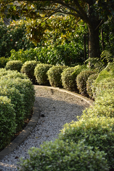 Centurion Management Services